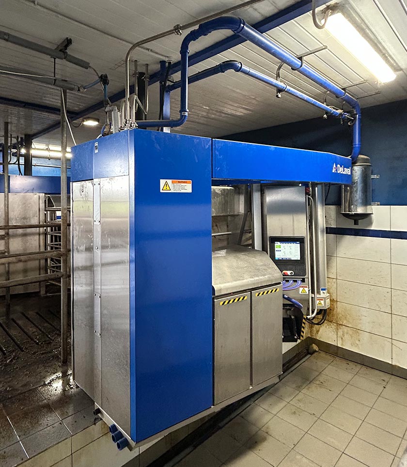 Dairy Production with the Delaval AI Robotic Milking System | Greenville