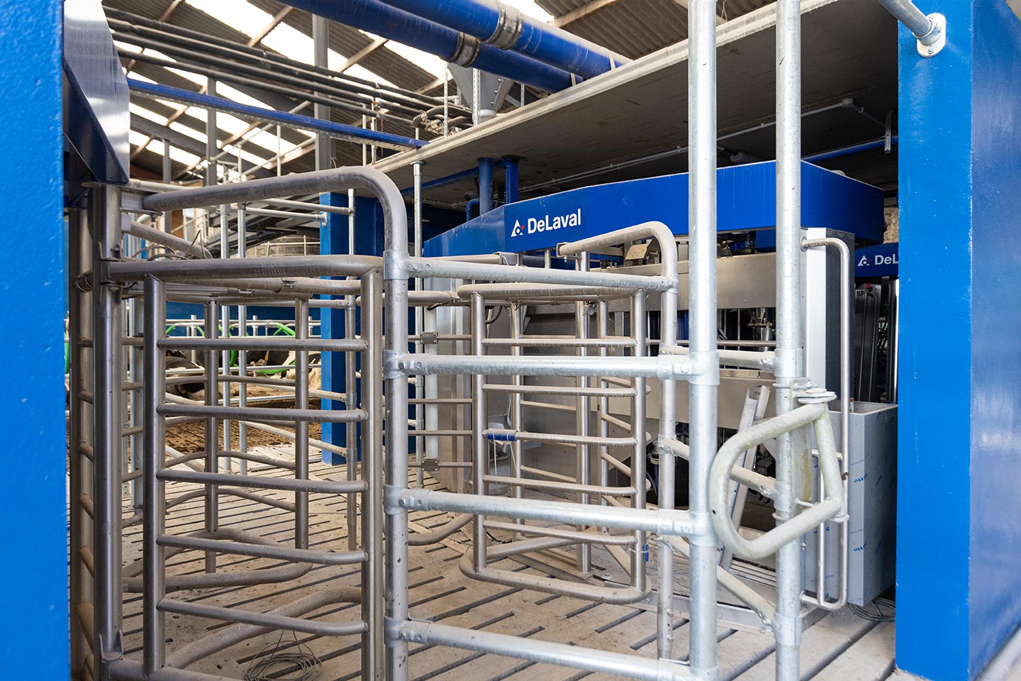 Dairy Production with the Delaval AI Robotic Milking System | Greenville